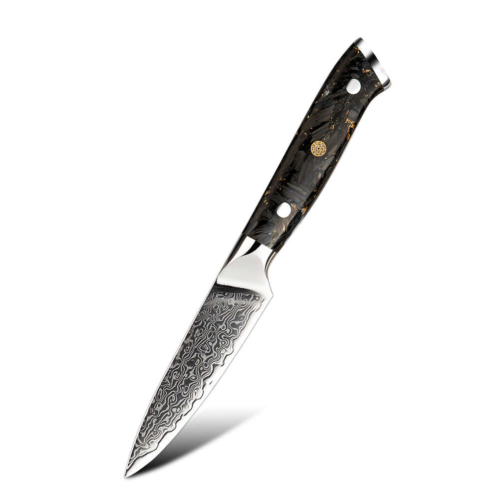 Paring Knife – VG-10 Core Damascus Blade with Carbon Resin Handle