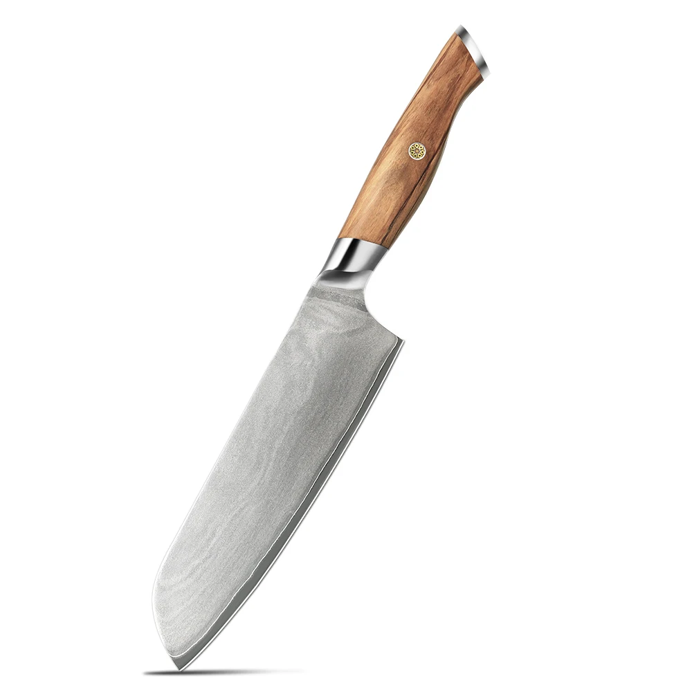Professional Santoku Knife – VG-10 Blade with Olive Wood Handle for All ...